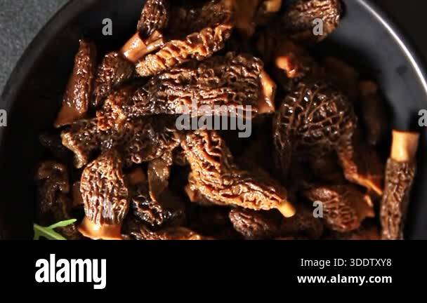 Morels mushrooms natural mushroom healthy food ingredient appetizer ...