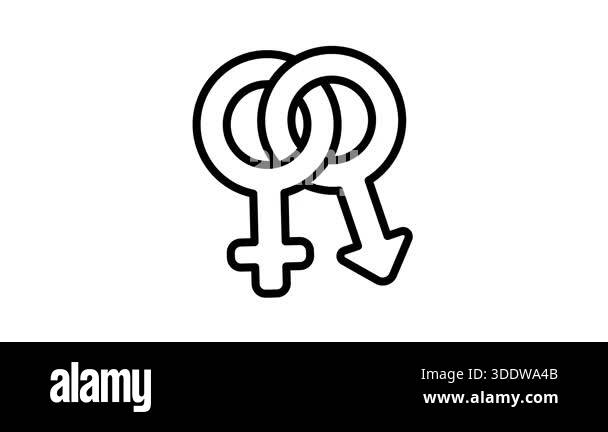 Male and female gender symbol vector, relationship animated icon Stock ...