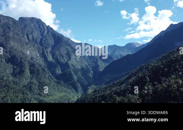 Dense tropical mountain forest beneath a bright sky and white clouds ...