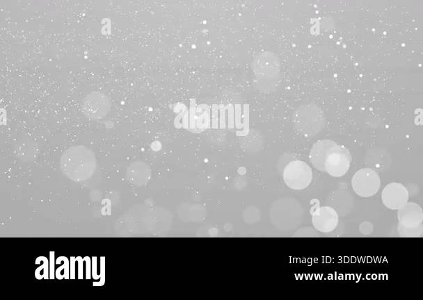 bokeh stardust lights animation isolated on white background, floating ...