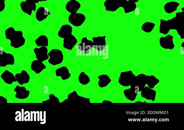 Black Ink Brush Splatter Effect Splash Transition on Green Screen with ...