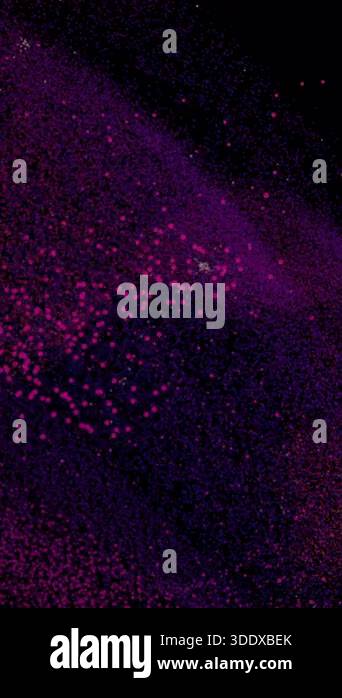 Magenta Pulse Particles Beat With Neon Rhythm, Kinetic Dots Scatter ...