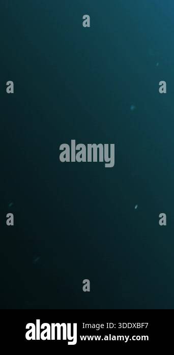 Deep Teal Gradient With Particles Startup CTO Presenting Logo Reveal ...