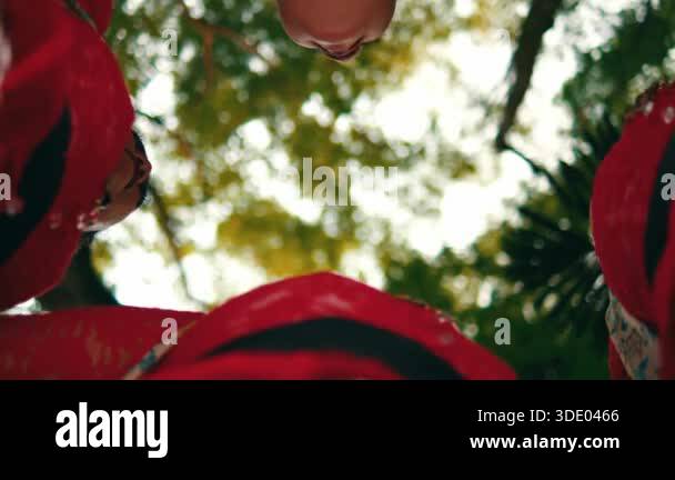 A worm's eye view starting below a circle of four Javanese women in red ...