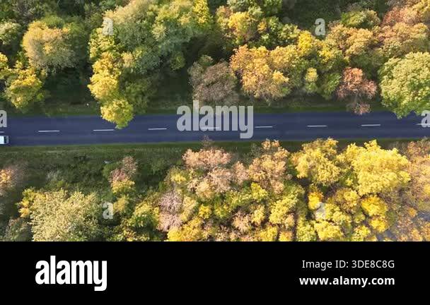 Vehicle moving through colorful fall forest scenery Stock Video Footage ...