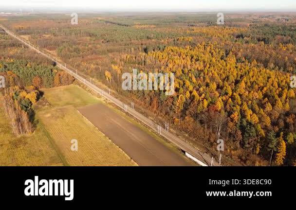 Railroad corridor surrounded by orange and green trees Stock Video ...