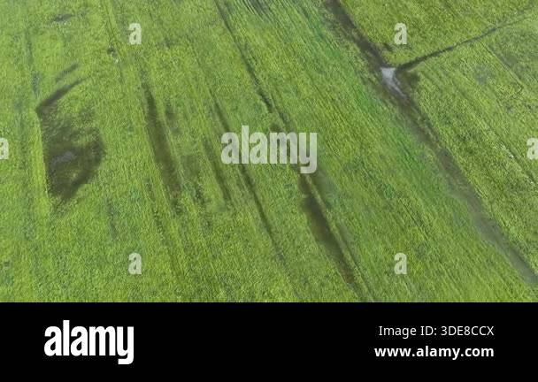 Spring thaw on green pastures viewed from air Stock Video Footage - Alamy