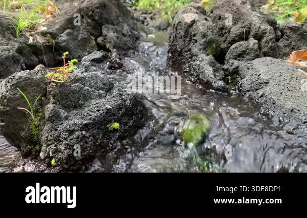 Water Erosion Concept. Fresh Mountain Stream Flowing Over Sediment ...
