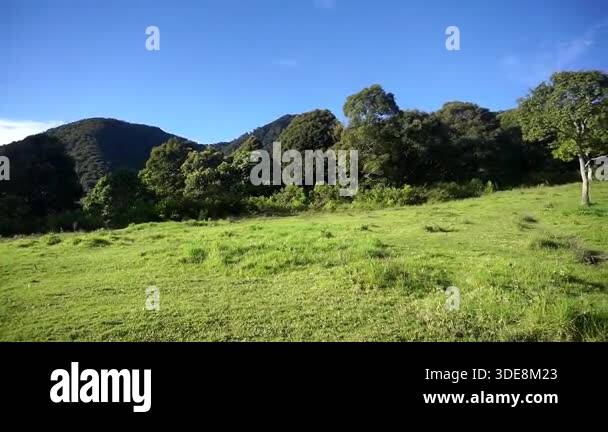 Green natural panorama with a majestic mountain in the background and ...