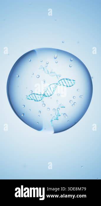 DNA double helix strand rotates in a cell on blue background loop ...