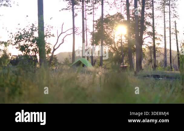 sunset lights pine trees and a green camping tent beside an adventure ...