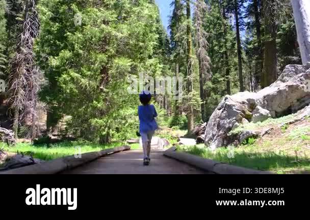 cute boy in giant redwood forest in mariposa grove, yosemite national ...