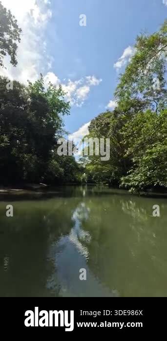 First-person point of view navigating a tranquil river through the ...