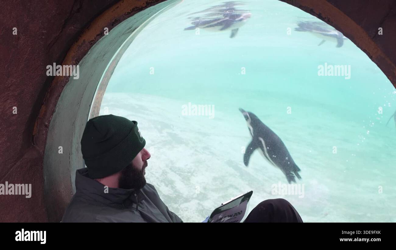 Animals are counted during ZSL London Zoo's annual stocktake Stock ...