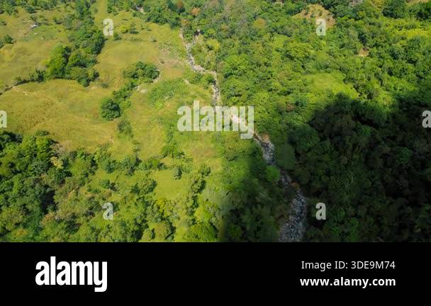 Aerial of green valley with scattered trees and sunlight over forest ...