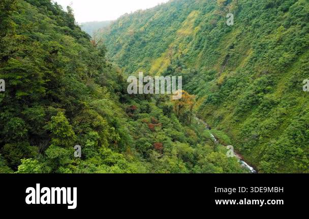 Rainforest canyon with river cutting through tropical vegetation in ...