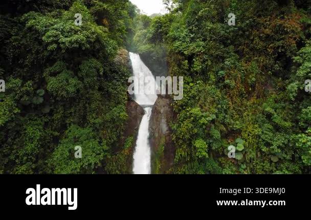 Cascading La Paz waterfall with twin streams by dense rainforest in ...