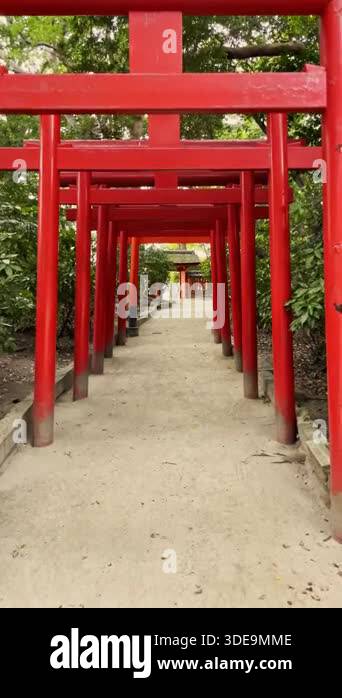 Red torii gate with a sand path surrounded by trees in Japanese temple ...