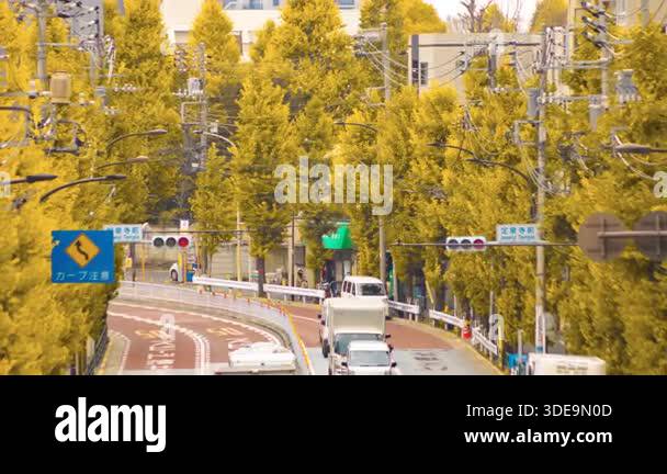 A timelapse of traffic jam at the yellow gingko street in Tokyo. High ...