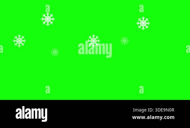 Falling white snowflakes animation on green screen chroma key ...