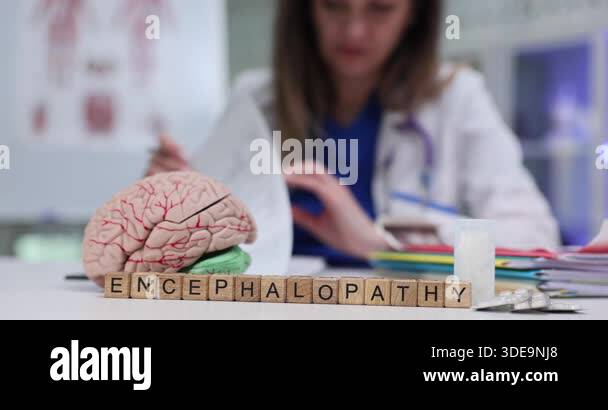 Wooden blocks spell word Encephalopathy in front of brain model. Woman ...