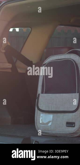 Side tracking close-up of a gray pet carrier backpack placed in a car ...