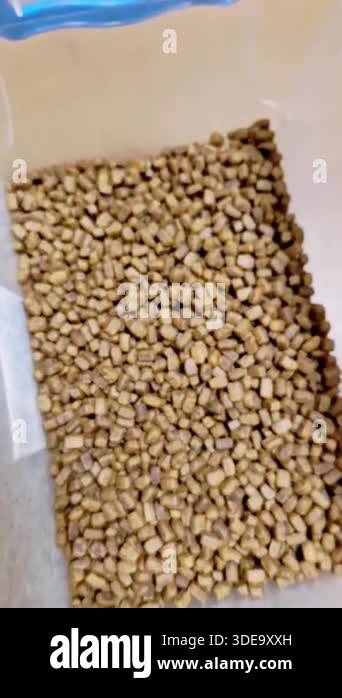 Top-down macro shot of dry pet food pellets inside a transparent ...