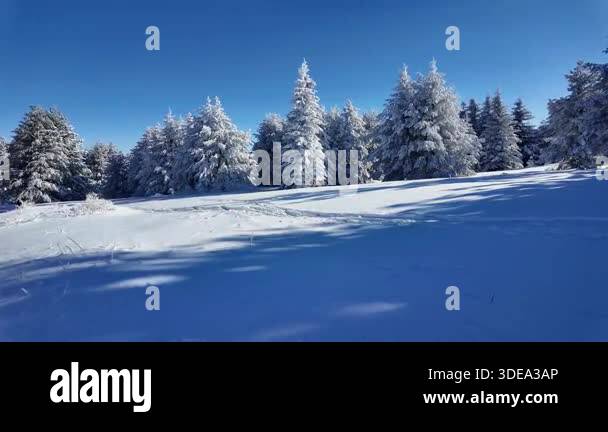 Amazing Winter landscape of Vitosha Mountain, Sofia City Region ...