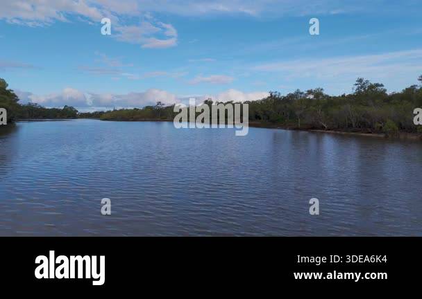 Calm river flowing through lush mangrove forest Stock Video Footage - Alamy