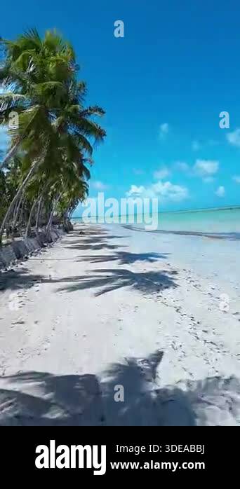 Beach Landscape At Maragogi In Alagoas Brazil. Tourism Landscape ...