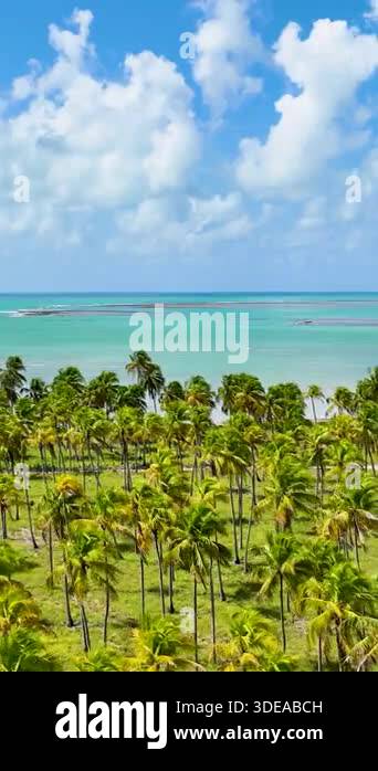 Northeastern Brazil Skyline At Sao Miguel Dos Milagres In Alagoas ...