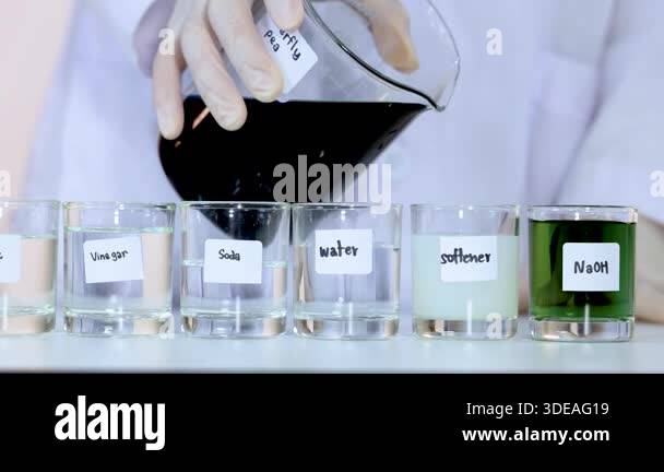 Experiment using butterfly pea flower as pH indicator Stock Video ...