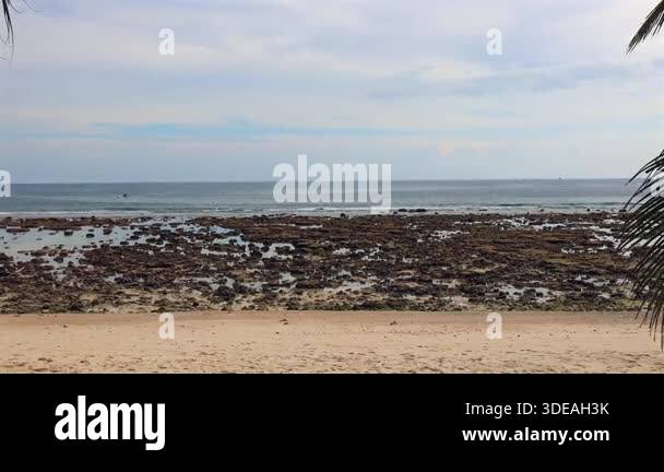 Intertidal zone exposed during low tide, showing a vast field of dark ...