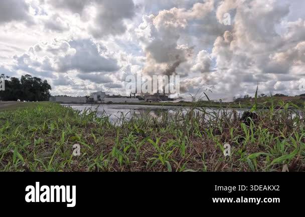 St. Martinville, Louisiana, USA. 2025. 11.17. Sugar cane processing ...