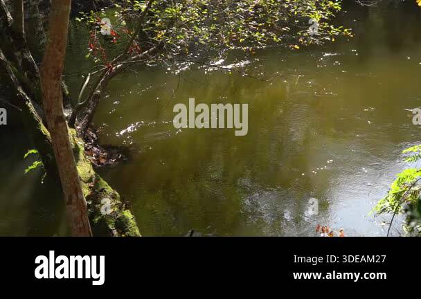 Calm and sparkling freshwater captured in slow motion at the Courant ...