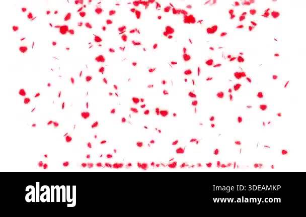 Beautiful red heart particles flowing down over a white background for ...