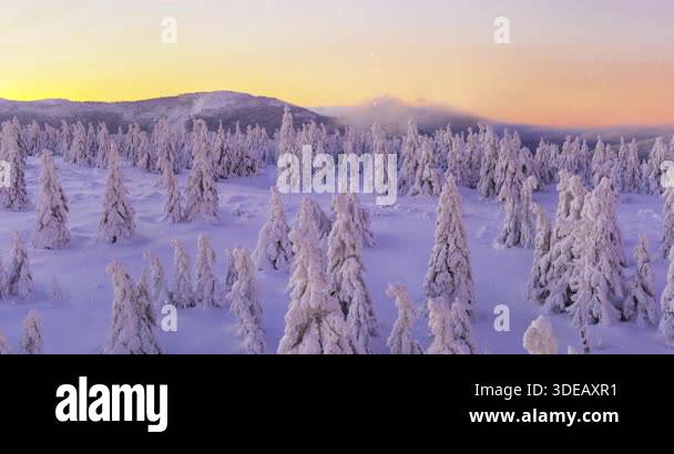 Snowflakes gently falling in slow motion create a peaceful and ...