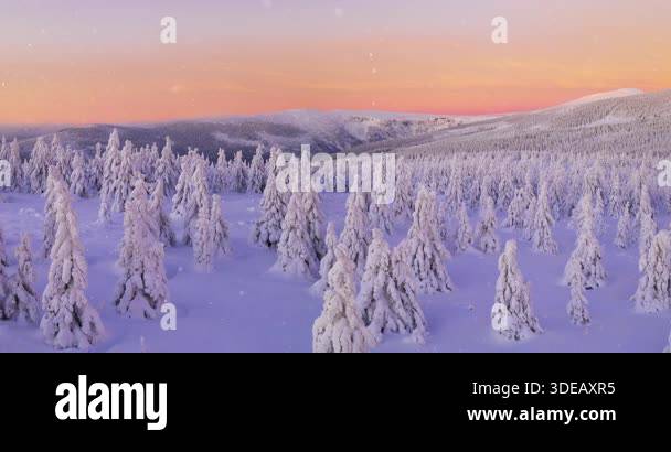 Snowflakes gently falling in slow motion create a peaceful and ...