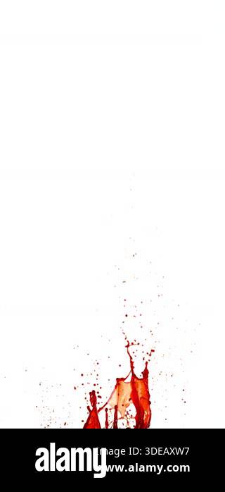 Blood Down Up Splashes in Super Slow Motion. Isolated on White ...