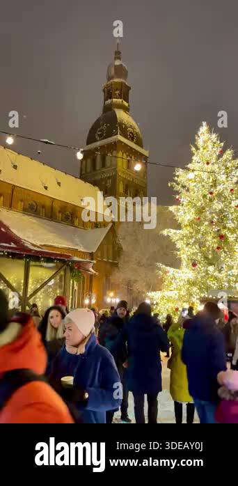 Night view of Riga Cathedral and Christmas tree. Winter in Riga old ...