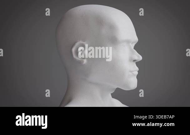 Man head rotating stone statue, close-up - 3D 4k animation (3840 x 2160 ...