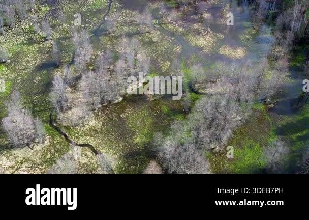 Hummocks marsh grasses in Stock Videos & Footage - HD and 4K Video ...