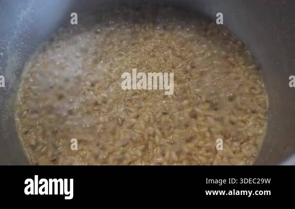 Close-up shot of grains boiling in a metal pot, bubbling and thickening ...