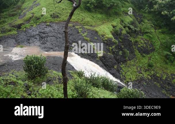 Water stream in the forest, Maharashtra, India Stock Video Footage - Alamy