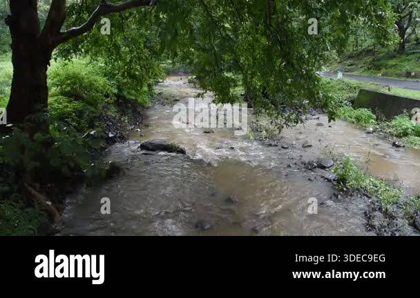 Water stream in the forest, Maharashtra, India Stock Video Footage - Alamy