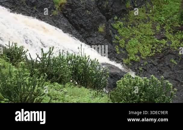 Water stream in the forest, Maharashtra, India Stock Video Footage - Alamy