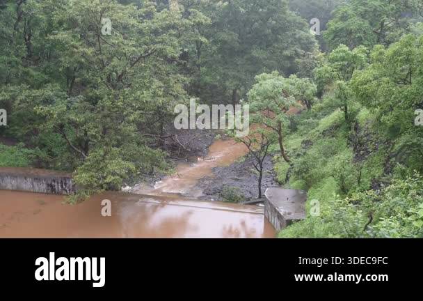 Water stream in the forest, Maharashtra, India Stock Video Footage - Alamy