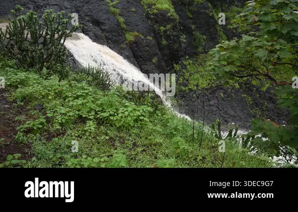 Water stream in the forest, Maharashtra, India Stock Video Footage - Alamy