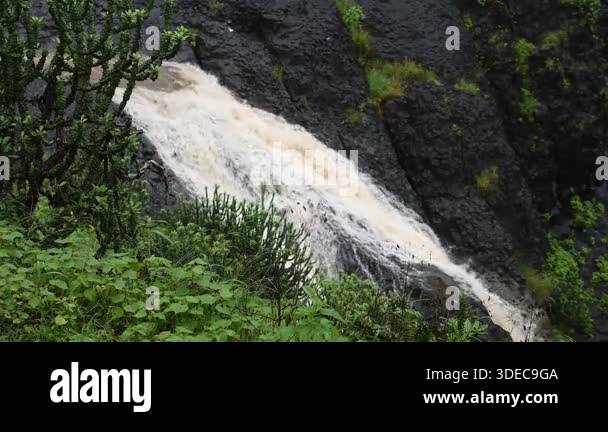 Water stream in the forest, Maharashtra, India Stock Video Footage - Alamy