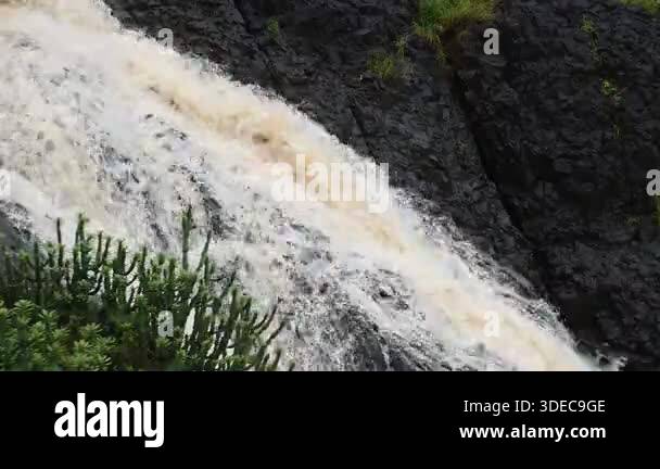 Water stream in the forest, Maharashtra, India Stock Video Footage - Alamy